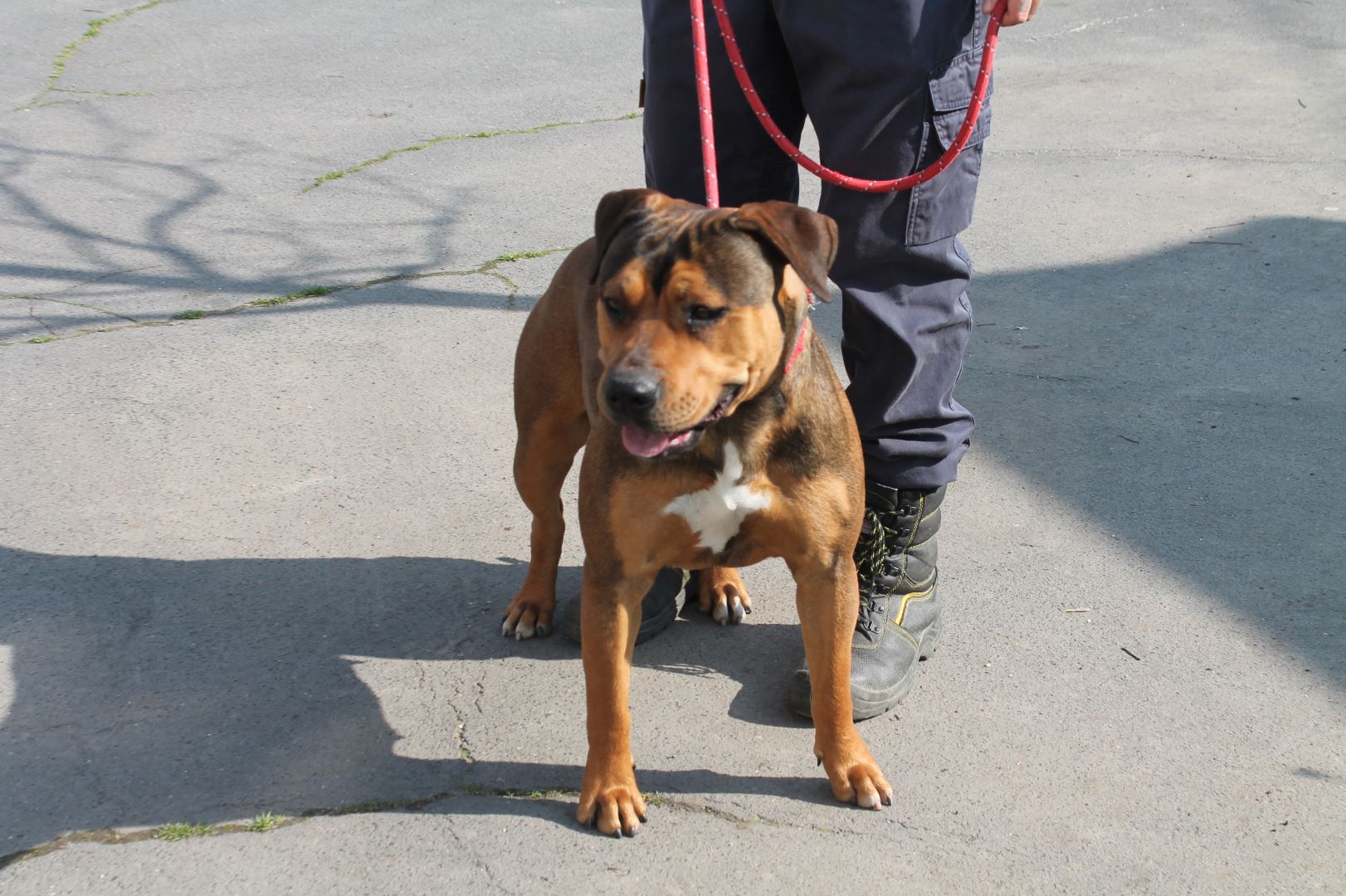 2024/6947179007 | Ebtelep